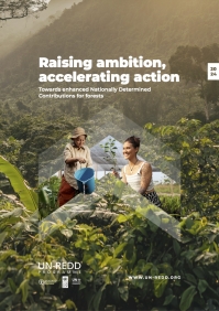 UNEP at the climate COP29